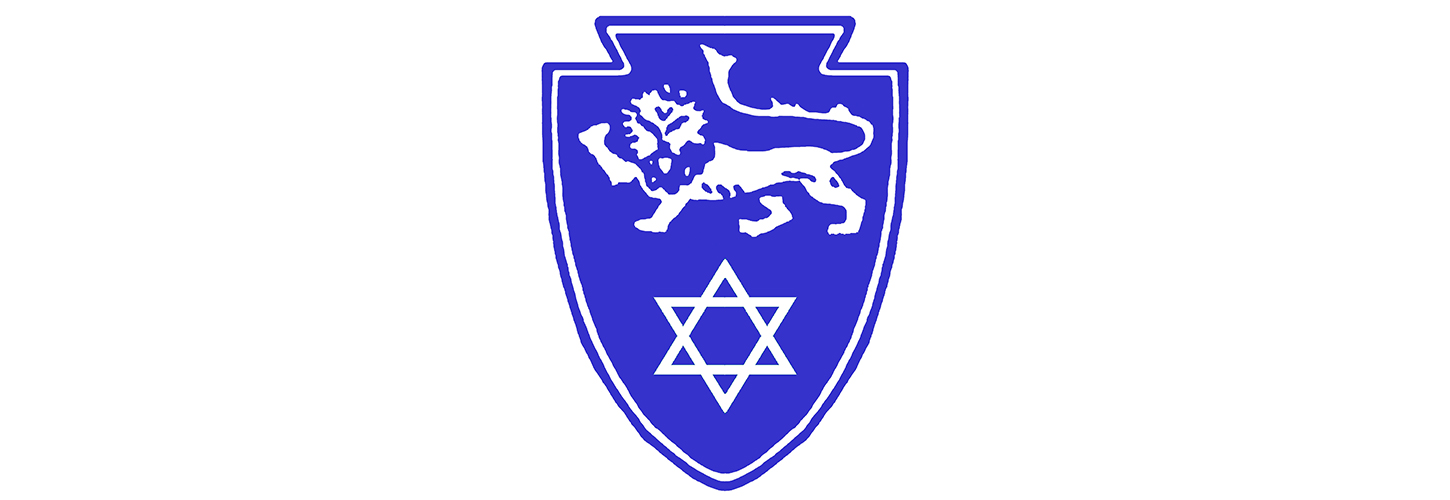 King David Primary School, Birmingham | PaJeS